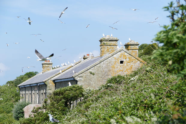 Our story – Steepholm